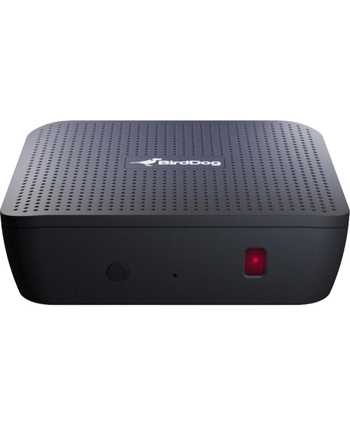 Click here for BirdDog Play 4K Ndi Player prices