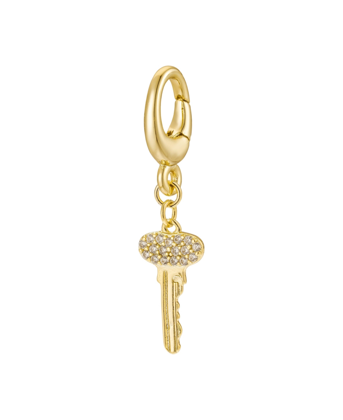Click here for Untamed Petals Key Charm - Gold prices
