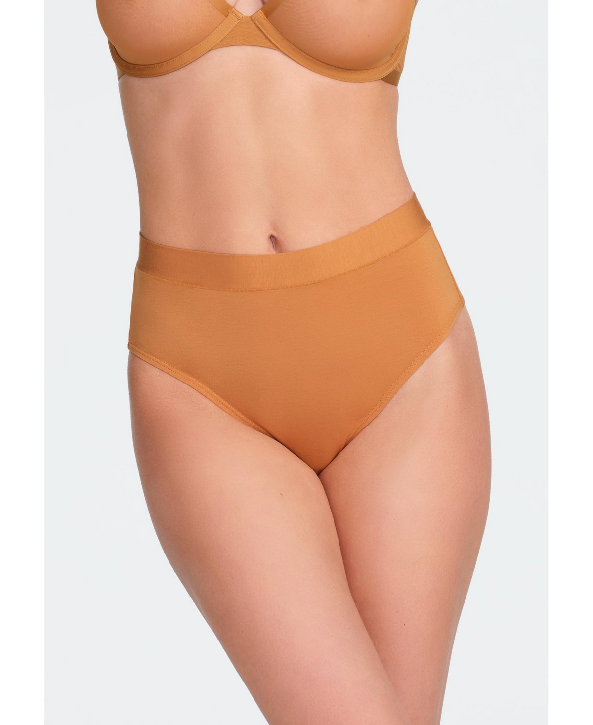 Click here for Cuup Plus Size the Bikini - Modal Panties - Carame... prices