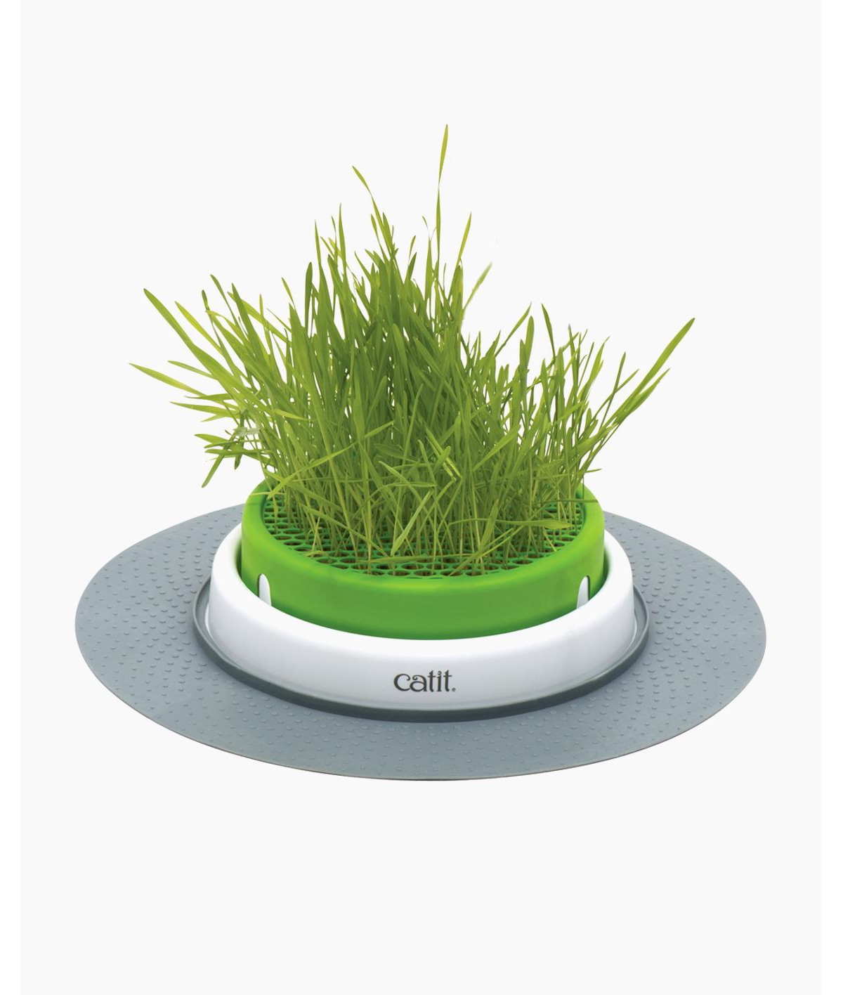 Click here for Catit Senses 2.0 Grass Planter  Retail prices