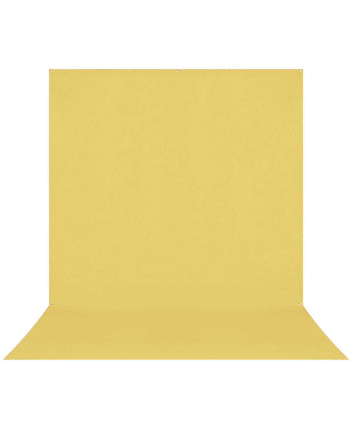 Click here for Westcott 8x13 X-Drop Pro Wrinkle-Resistant Backdro... prices