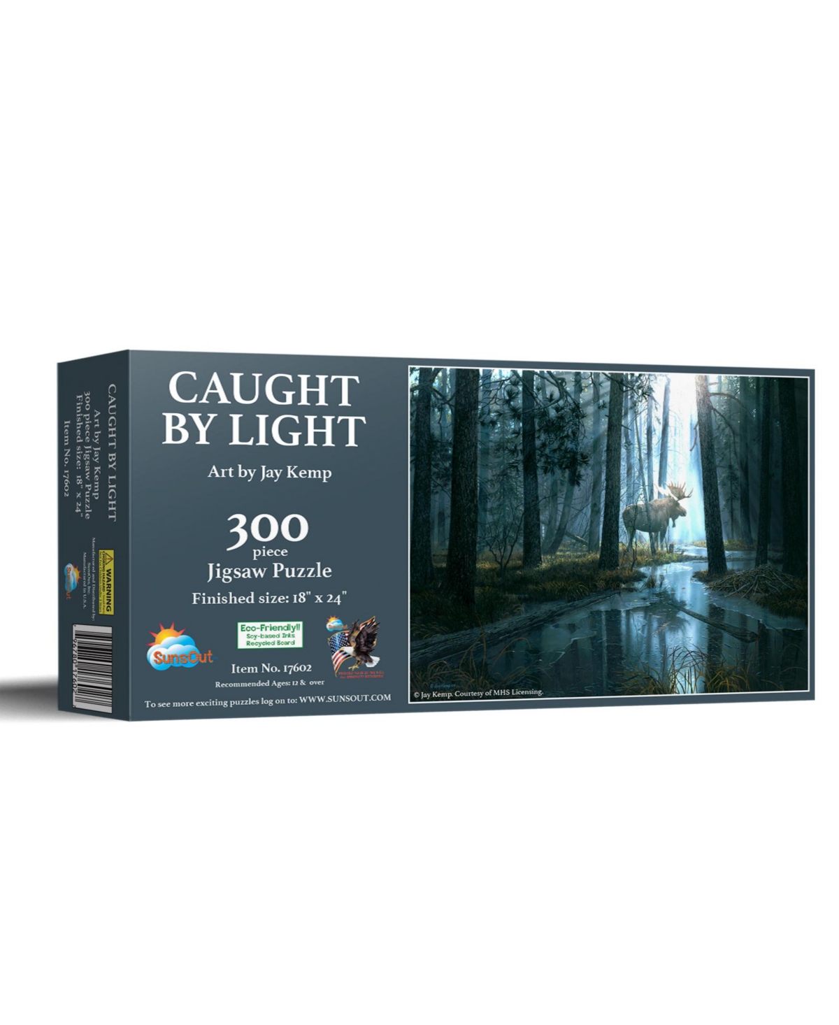 Click here for SunsOut Caught by Light 300 piece Jigsaw Puzzle fo... prices