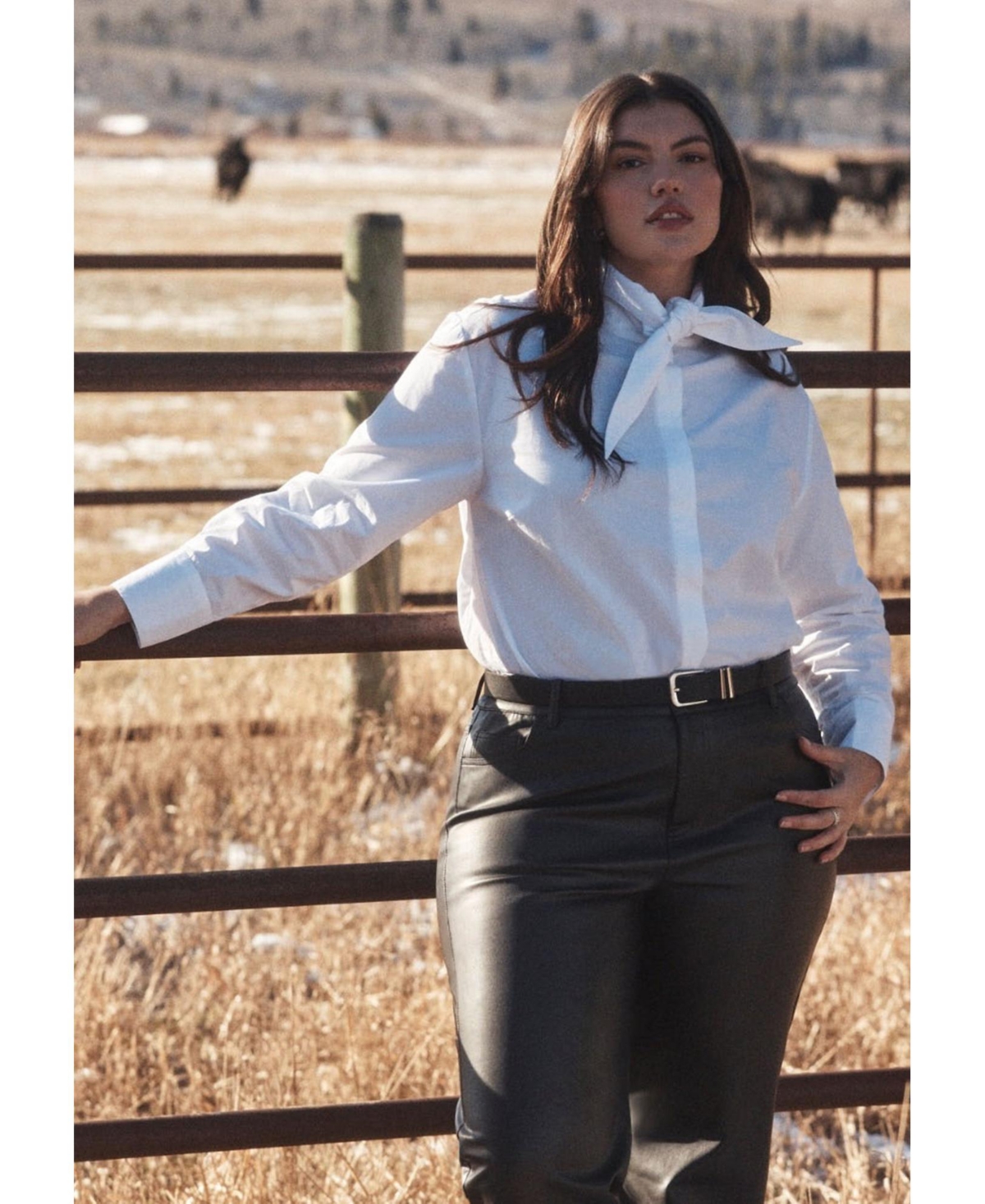 Click here for Eloquii Womens Dramatic Neck-Tie Poplin Shirt - Op... prices