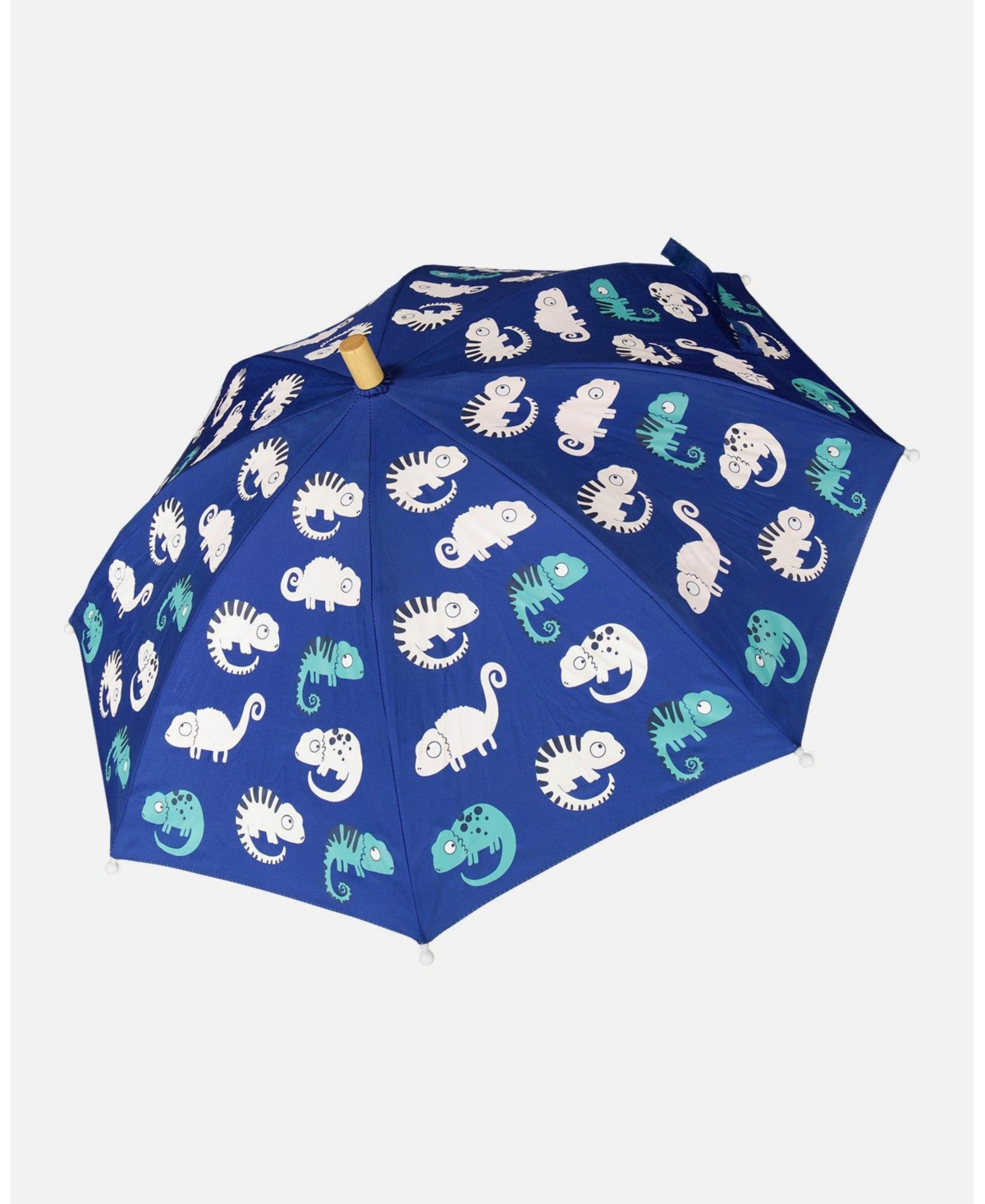 Click here for Deux par Deux Boy Color-Changing Umbrella Chameleo... prices