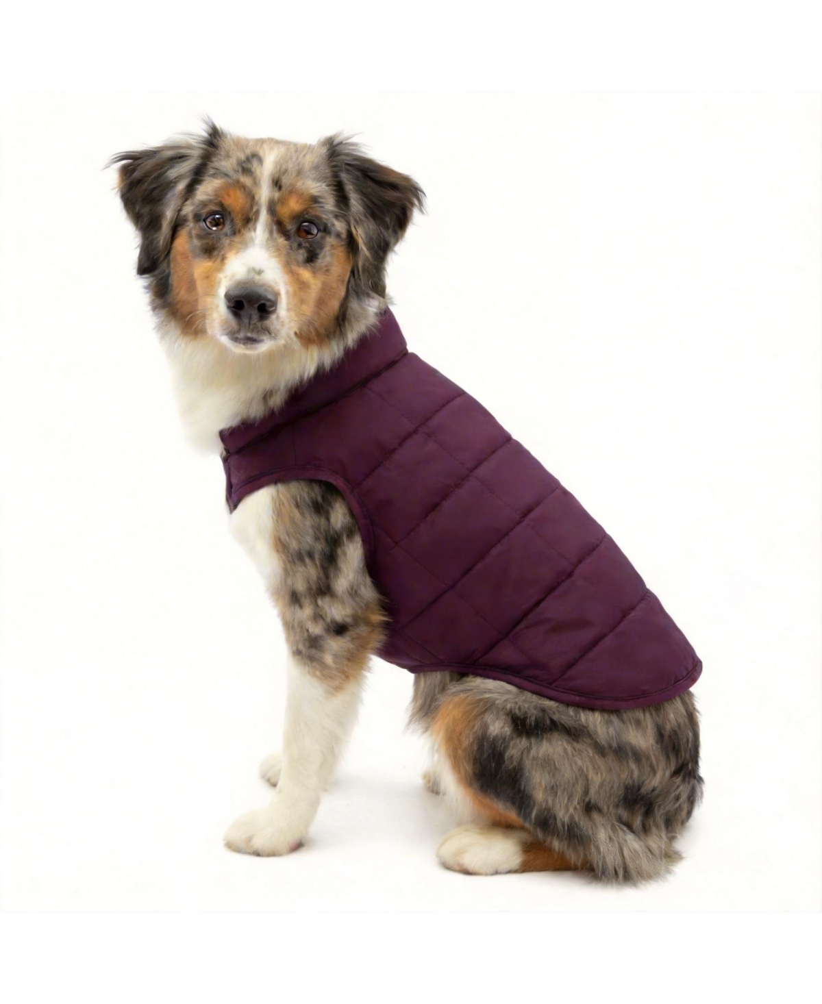 Click here for Aronkl Loft Dog Jacket: Insulated  Reversible  Wat... prices