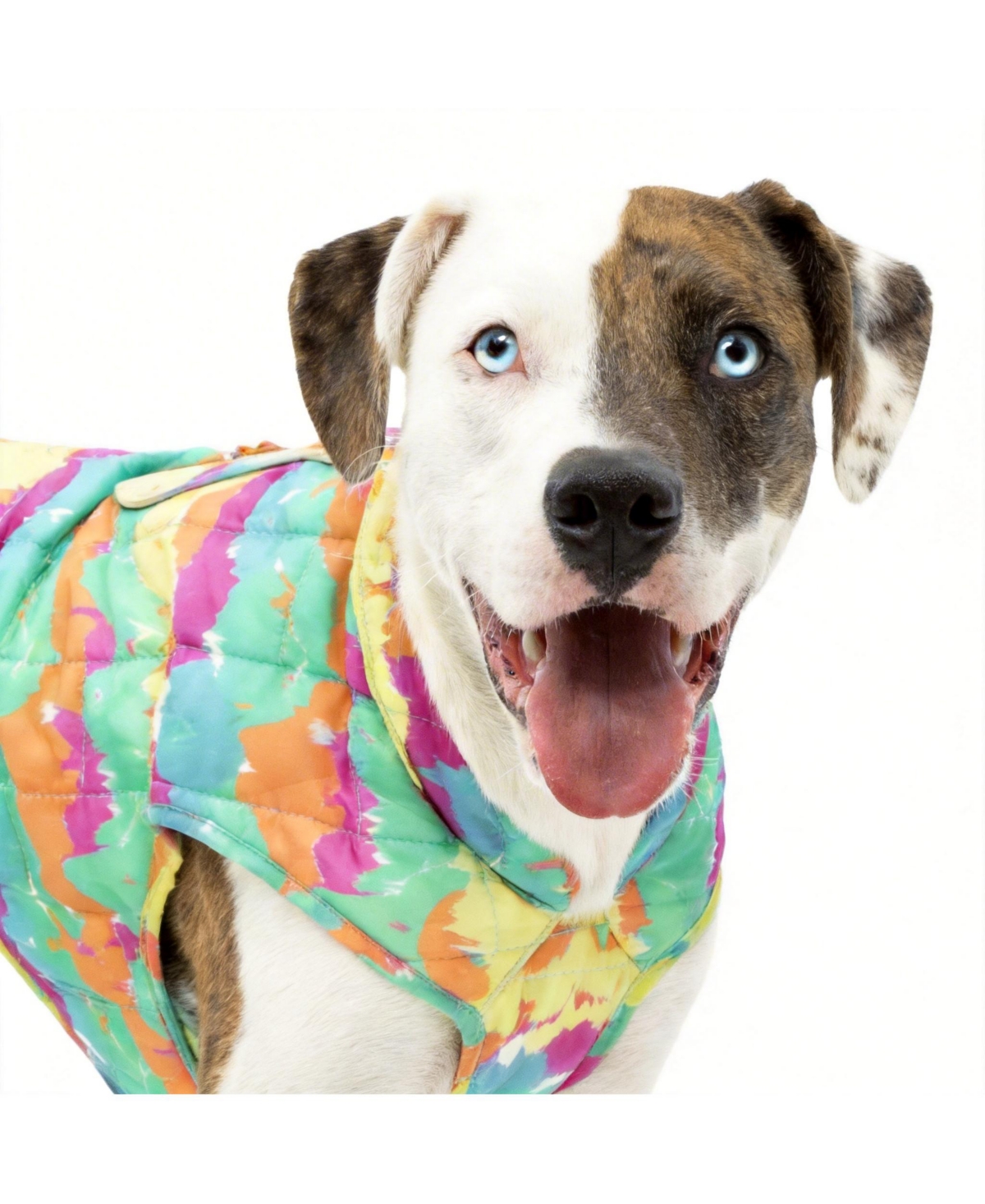 Click here for Aronkl Loft Dog Jacket: Insulated  Reversible  Wat... prices