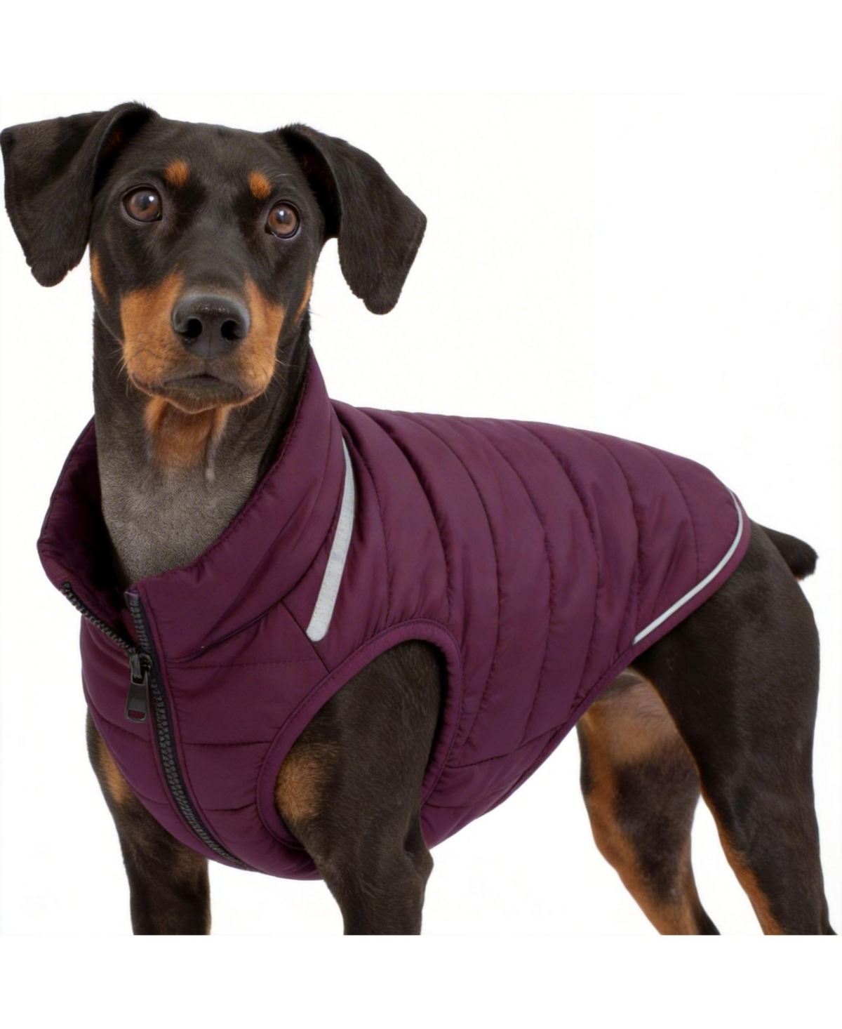 Click here for Aronkl Loft Dog Jacket: Insulated  Reversible  Wat... prices