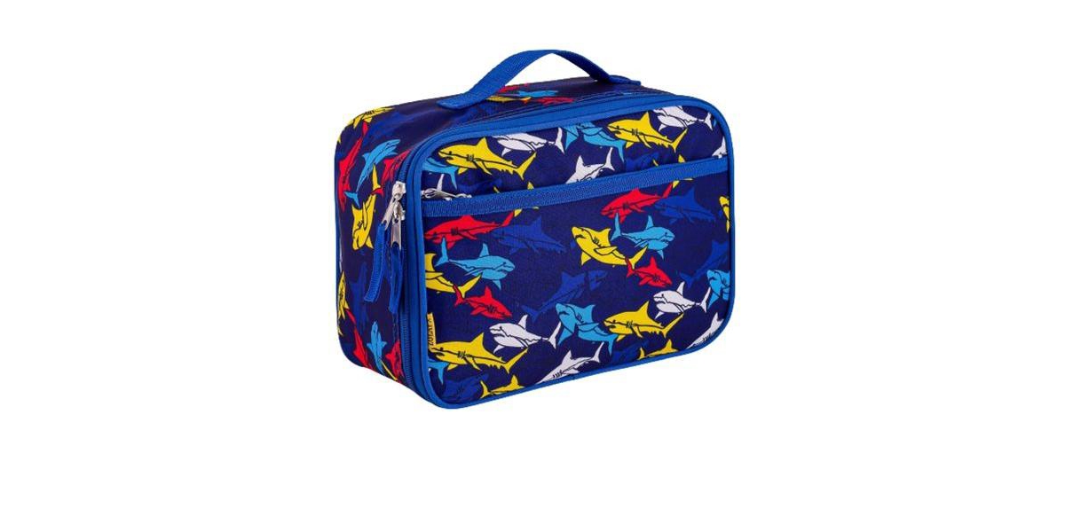 Click here for Insulated Lunch Bag With Spacious Compartment & Bu... prices