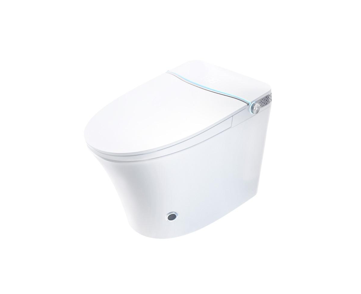 Click here for Casainc Ada Comfort Height Smart Bathroom Fixture... prices