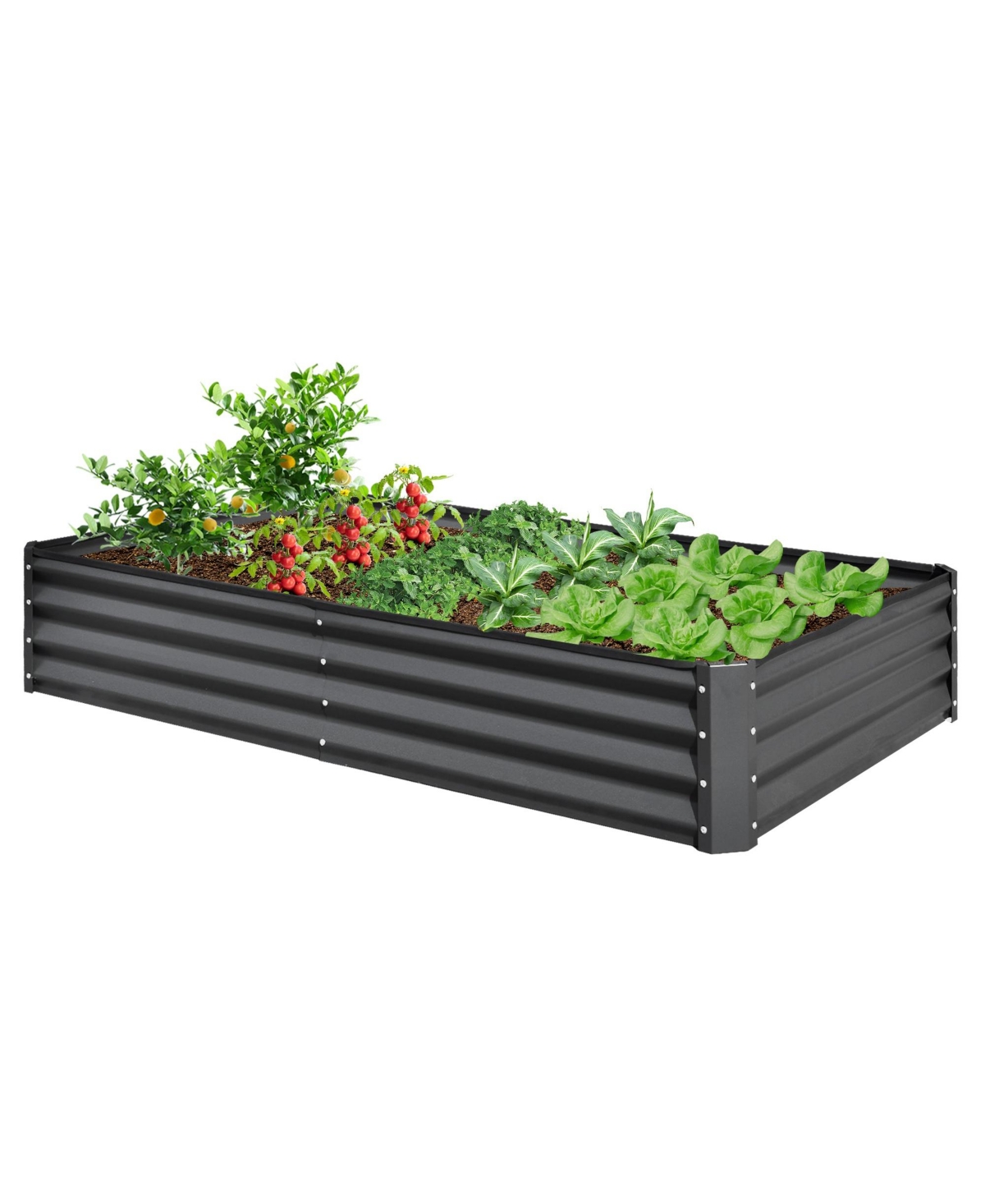 Click here for Mondawe 8x4x1 feet Galvanized Raised Garden Bed -... prices