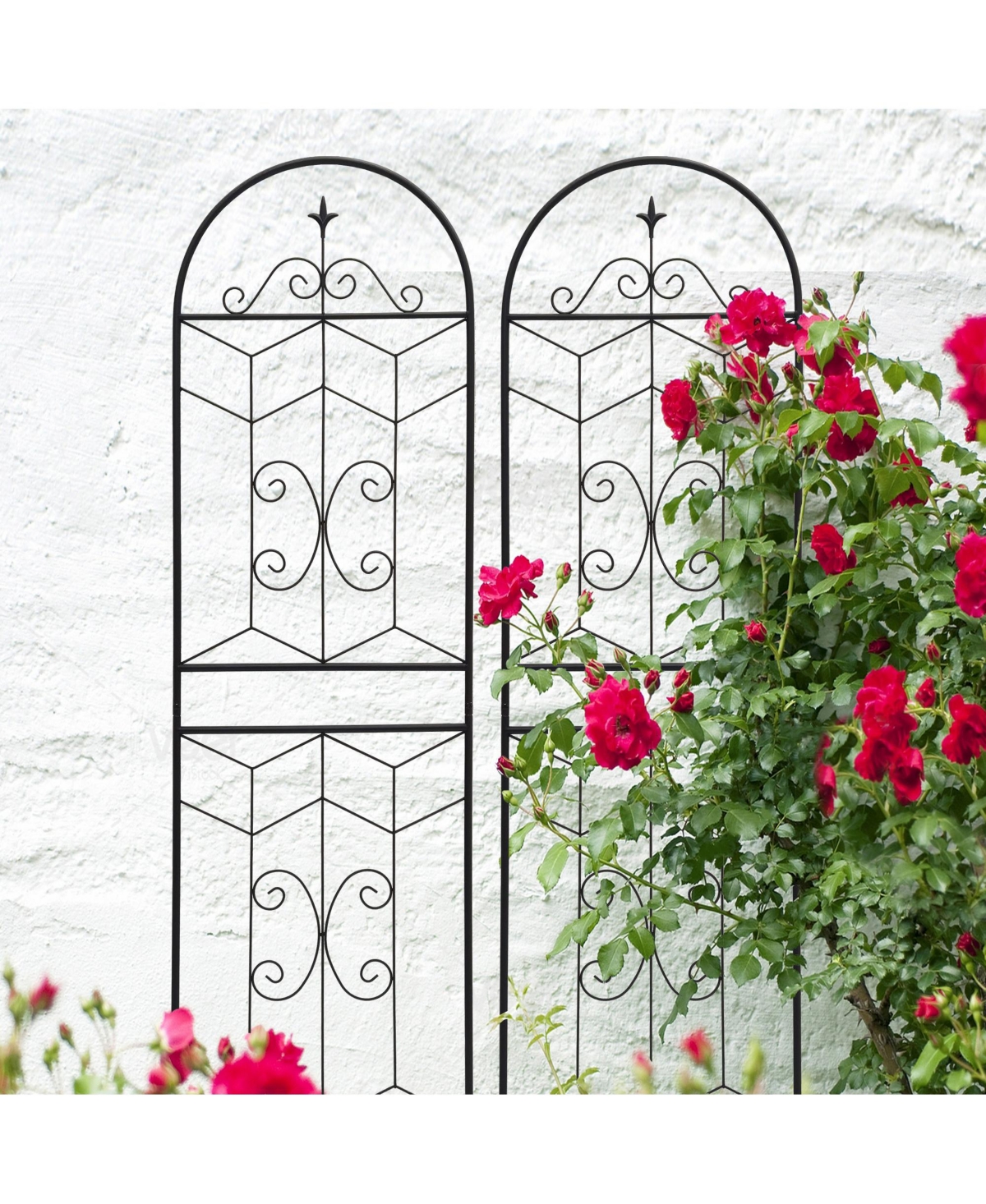 Click here for Clihome Metal Garden Trellis 71 x 19.7 Rustproof T... prices