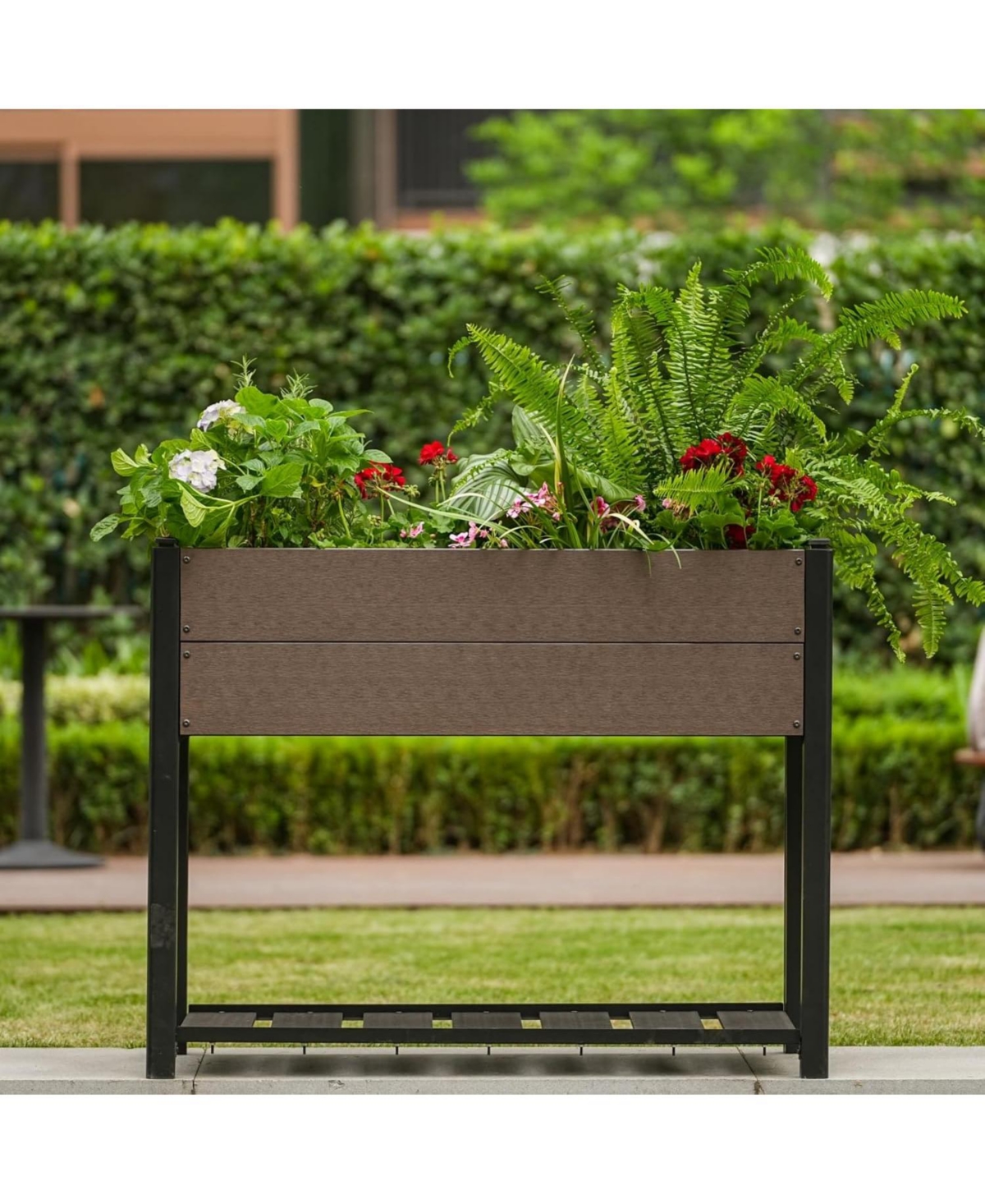Click here for Xo 42 x 33 Hdpe Raised Garden Bed with Legs and Sh... prices