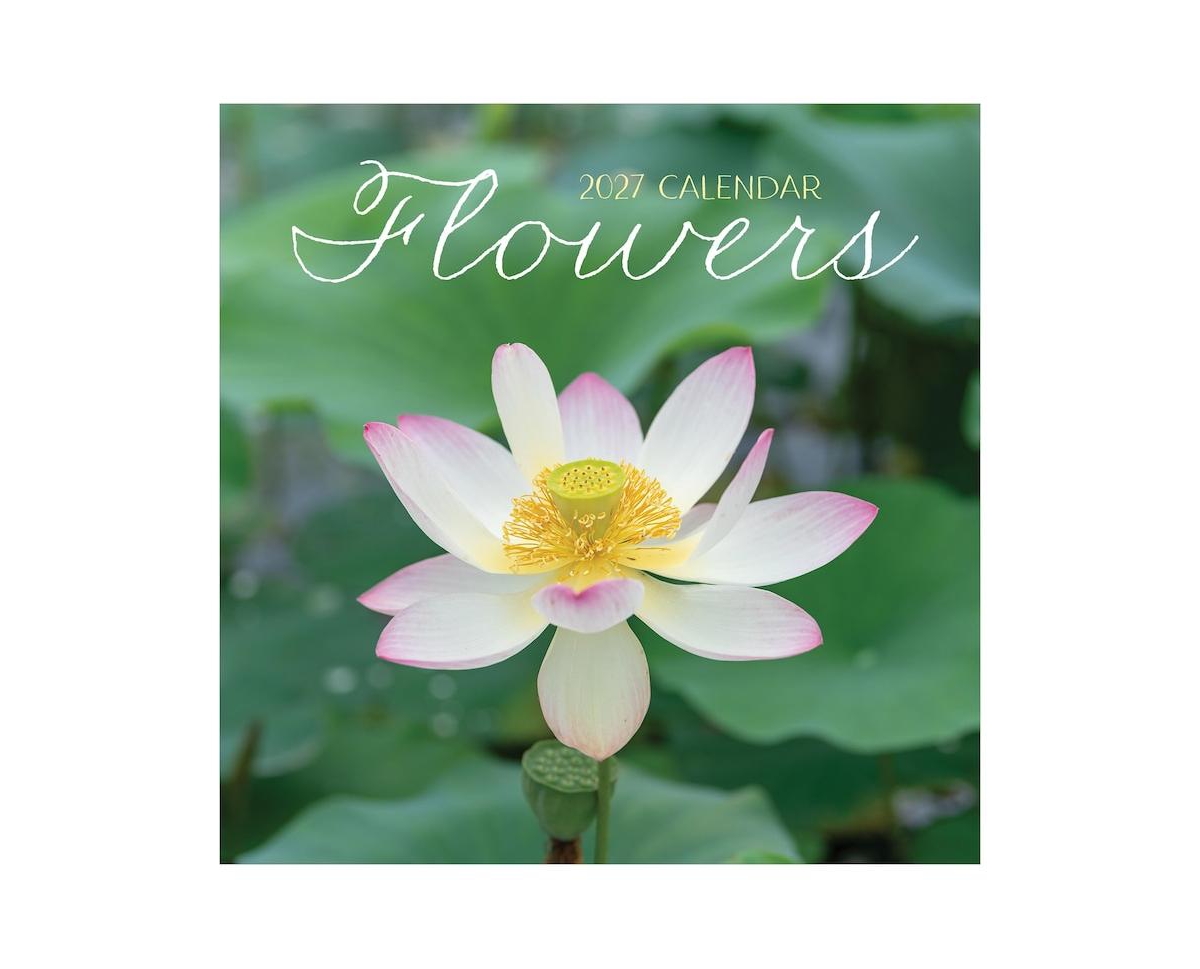 Click here for Tf Publishing Paper Goods 2027 Flowers Mini Calend... prices