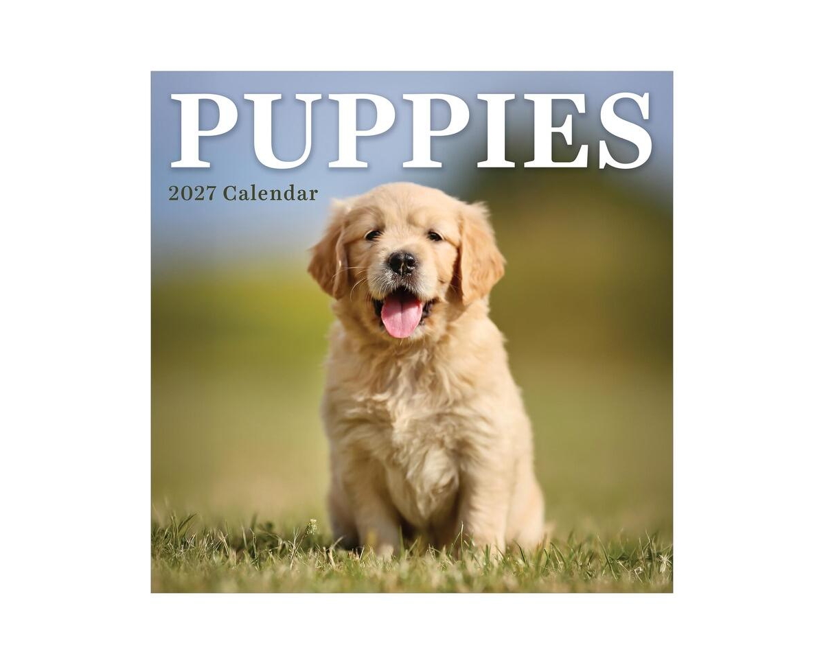 Click here for Tf Publishing Paper Goods 2027 Puppies Mini Calend... prices