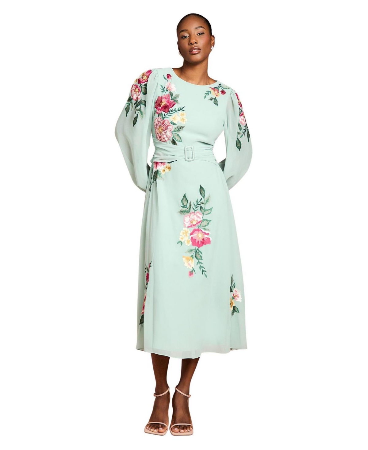Click here for Coast Womens Embroidered Midi Dress - Sage prices