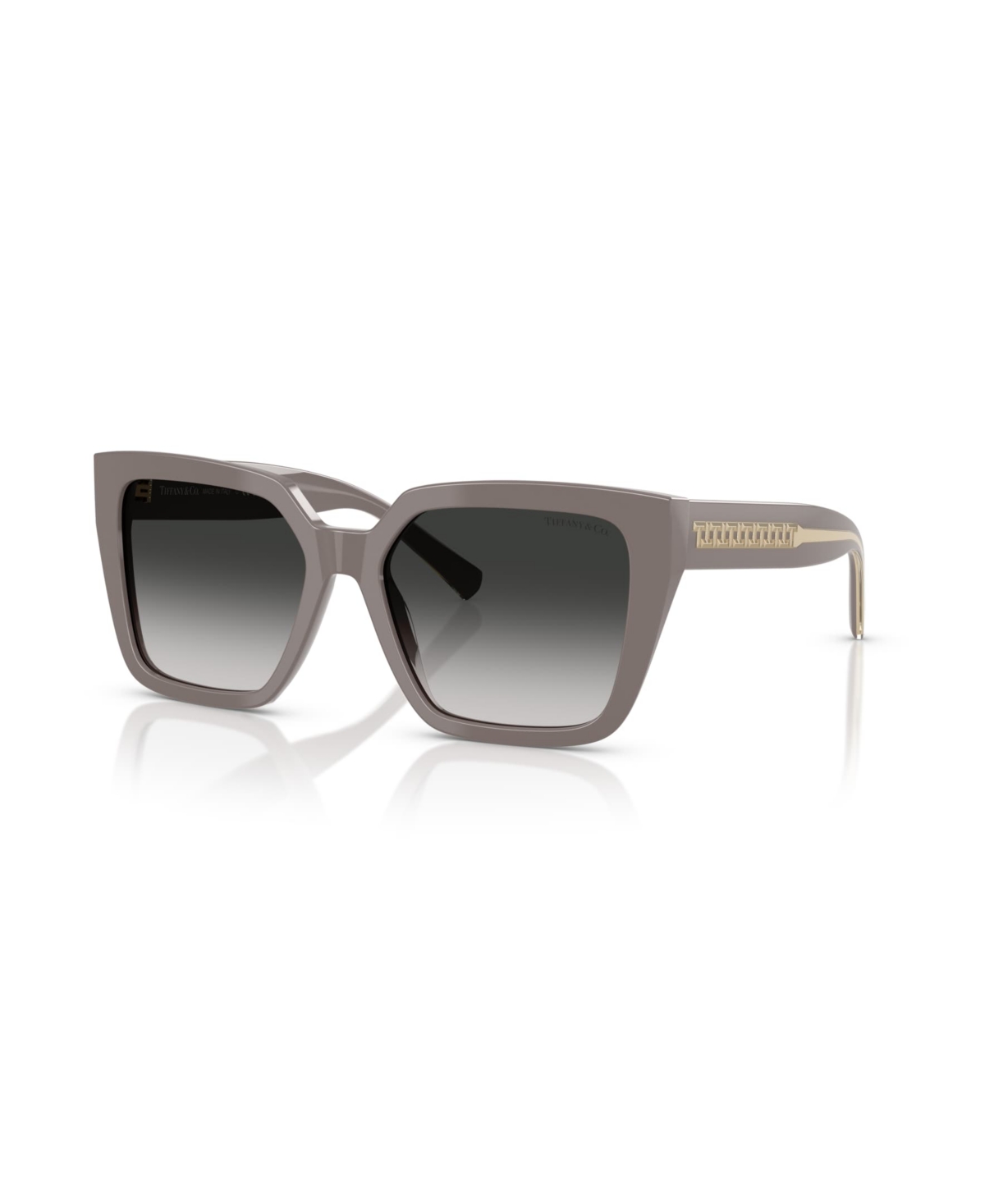 Click here for Tiffany & Co. Womens Sunglasses  TF4235 - Chocolat... prices