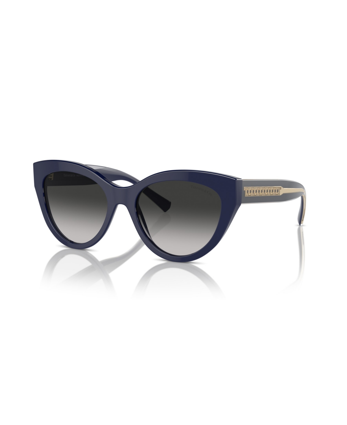 Click here for Tiffany & Co. Womens Sunglasses  TF4220F - Dark Bl... prices