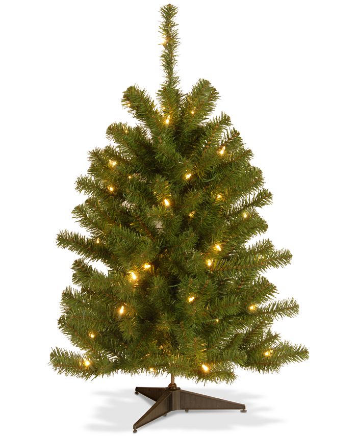 National Tree Company 3' Eastern Spruce Tree With 50 Clear Lights - Macy's