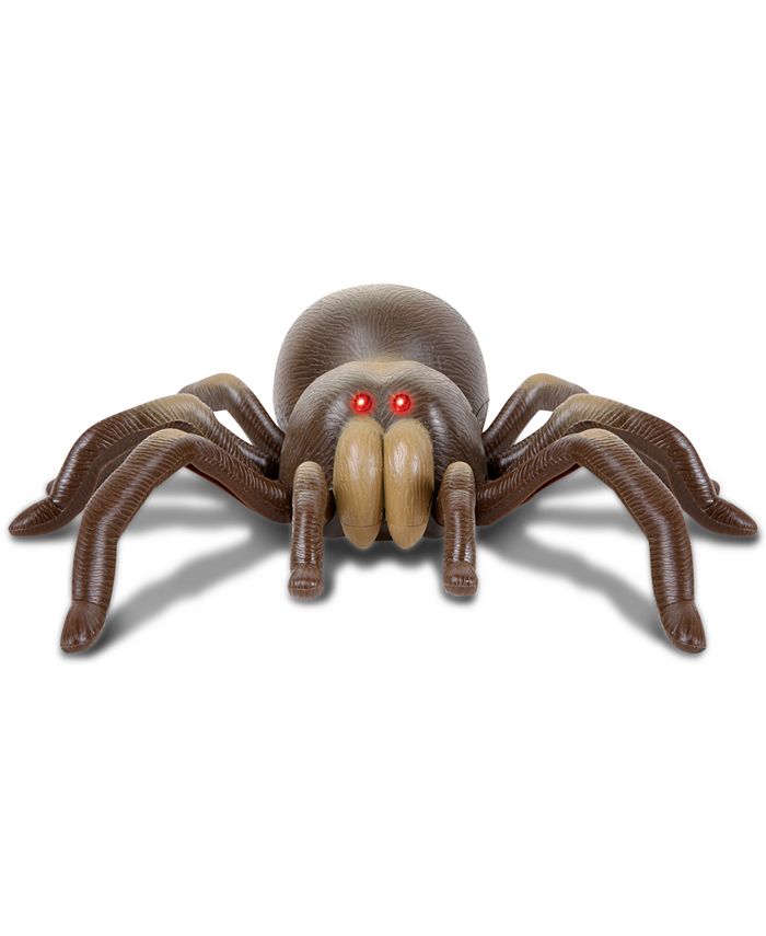 Discovery Kids RC Tarantula - Macy's