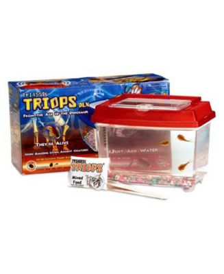 Triops - Deluxe Kit - Macy's