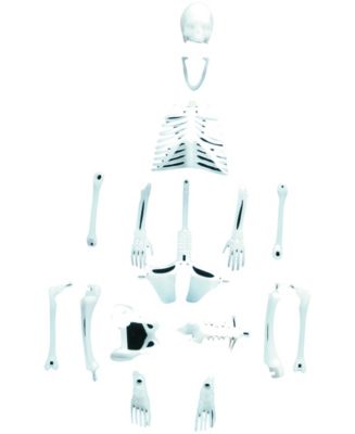 Glowing Human Skeleton Puzzle - Macy's