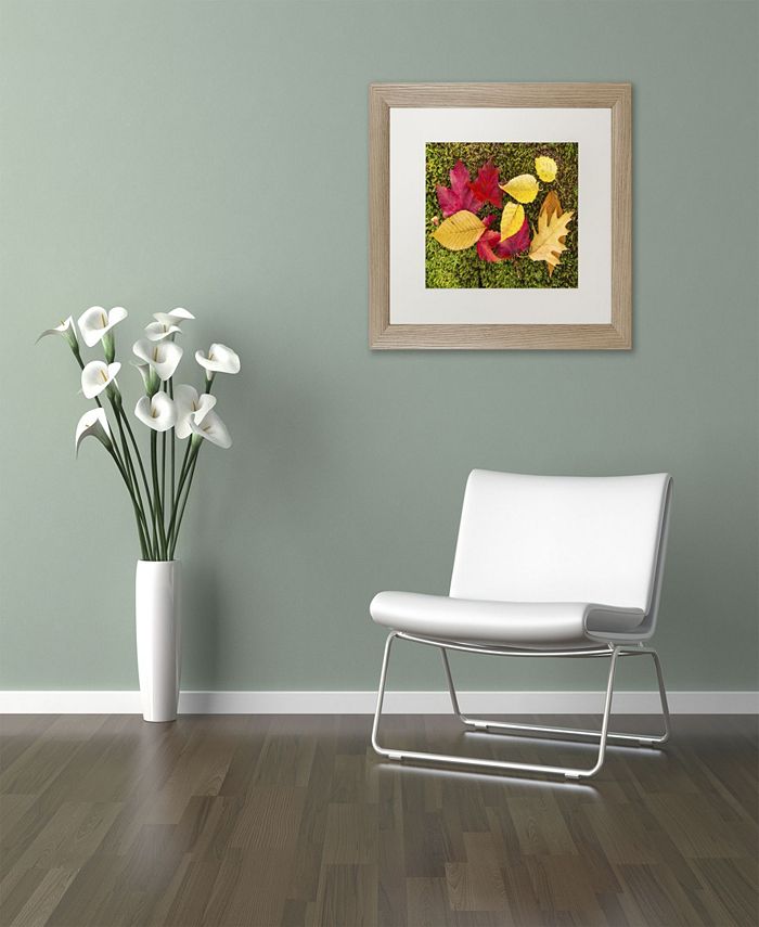 Trademark Global Michael Blanchette Photography Leaves on Moss Matted ...