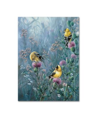 Wanda Mumm 'Summer Gold' Canvas Art - 32" x 24" x 2" - Macy's