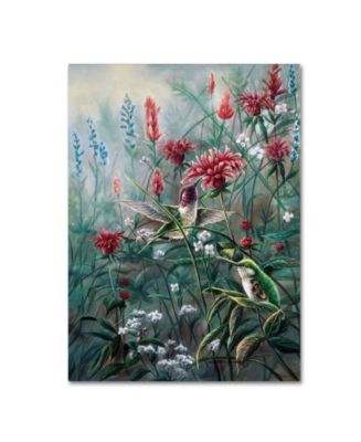 Wanda Mumm 'Monardia' Canvas Art - 19" x 14" x 2" - Macy's