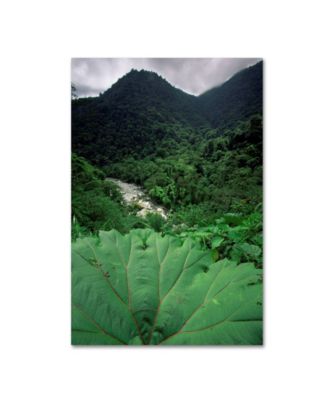 Robert Harding Picture Library 'Mountain Scene 105' Canvas Art - 24" x ...