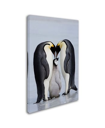 Trademark Global Robert Harding Picture Library 'Two Penguins' Canvas ...