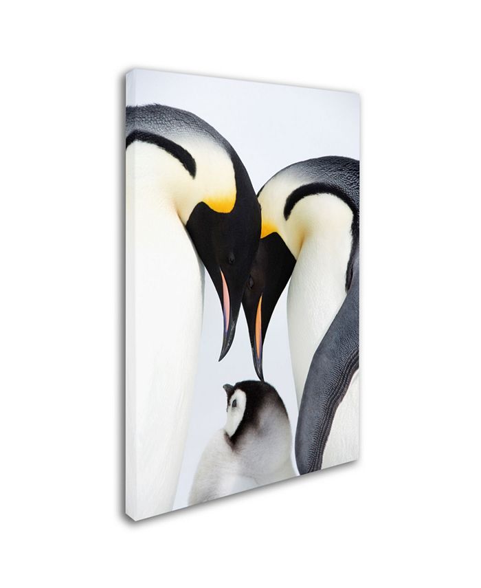 Trademark Global Robert Harding Picture Library 'Baby Penguin' Canvas ...