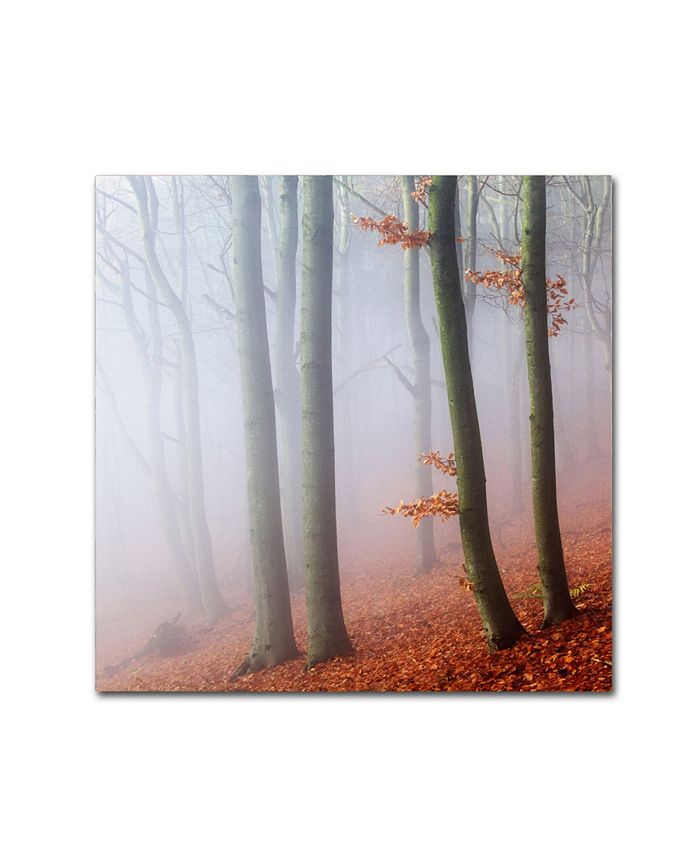 Trademark Global Martin Rak 'Beeches' Canvas Art - 14" x 14" x 2" - Macy's