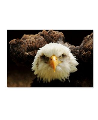 Tim Kirwan 'The Judge' Canvas Art - 32" x 22" x 2" - Macy's