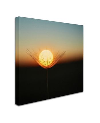 Trademark Global Milan Riha 'Trapped In A Downy Tuft' Canvas Art - 35 ...