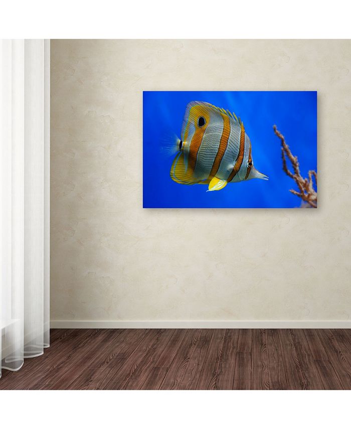 Trademark Global Jan Lykke 'Tropical Beauty' Canvas Art - 24" x 16" x 2 ...