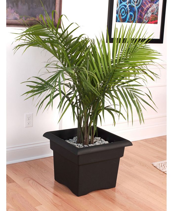 Bloem Veranda 14" Deck Box Planter - Macy's