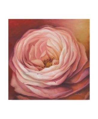 Lisa Audit 'Rose' Canvas Art - 18" x 18" - Macy's