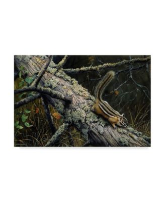 Harro Maass 'Eastern Chipmunk Tree' Canvas Art - 24" x 16" - Macy's