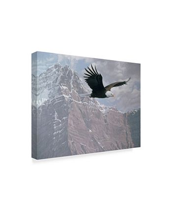 Trademark Global Ron Parker 'Mountain Flight' Canvas Art - 24" x 32 ...
