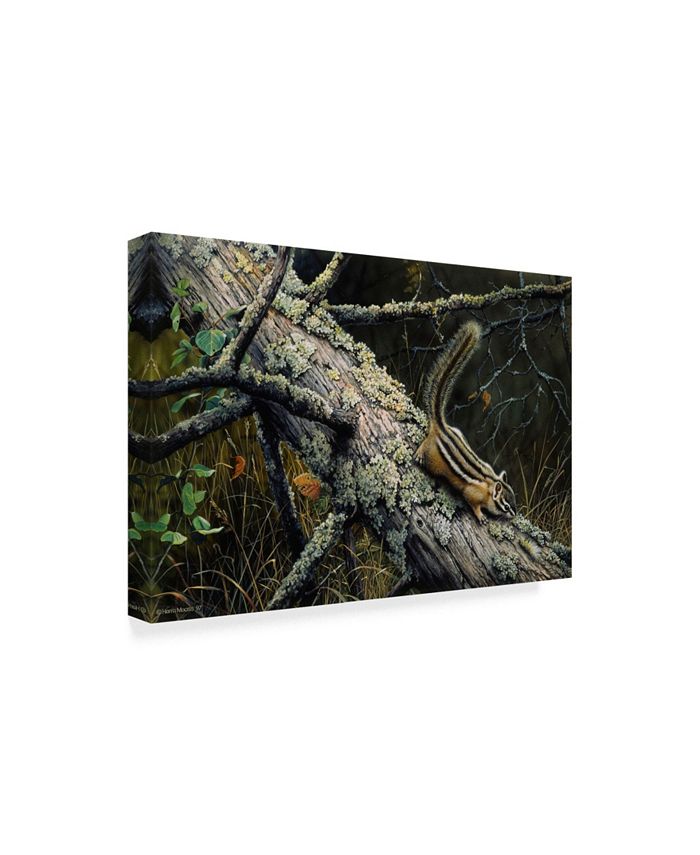 Trademark Global Harro Maass 'Eastern Chipmunk Tree' Canvas Art - 24" x ...