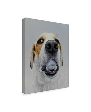 Trademark Global James Ruby 'Titleist 2' Canvas Art - 14" x 19" - Macy's