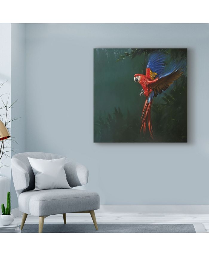 Trademark Global Michael Jackson 'Macaw Over Forest' Canvas Art - 14" x ...