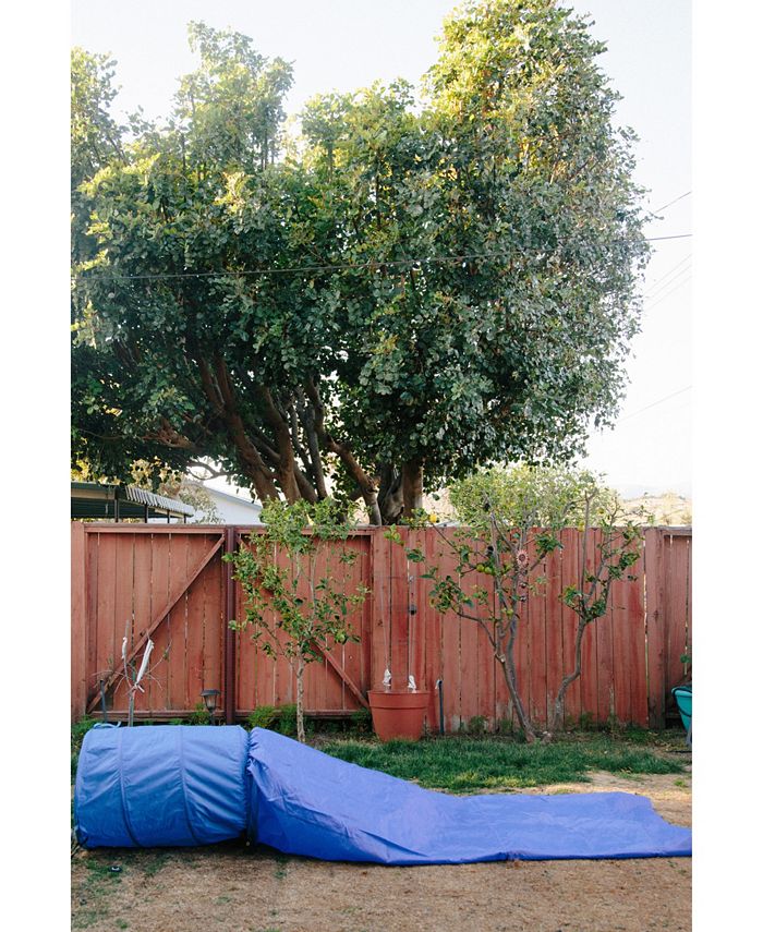 Pacific Play Tents Blue Dog Agility Chute - Macy's