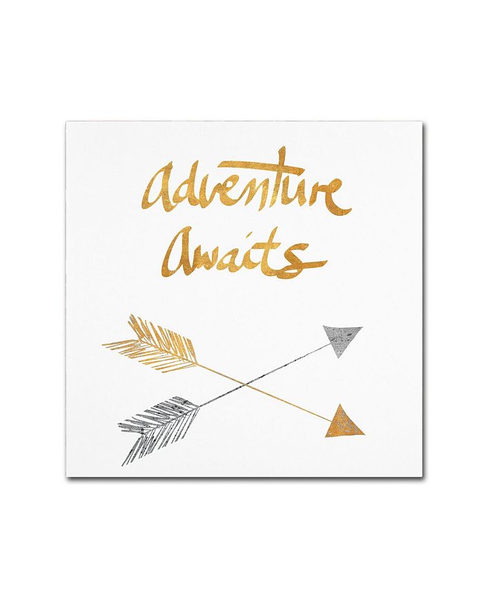 Trademark Global Lisa Powell Braun 'Adventure Arrows' Canvas Art - 18 ...