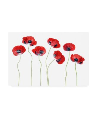 Mandy Disher Ladybird Poppies Canvas Art - 37" x 49" - Macy's