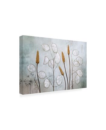Trademark Global Mandy Disher Lunaria Canvas Art - 20" x 25" - Macy's