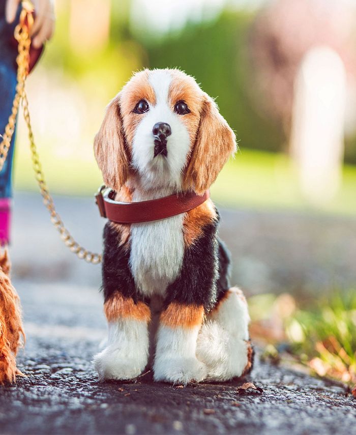 The Queen's Treasures 18" Doll Pet Beagle Puppy Dog with Collar and ...