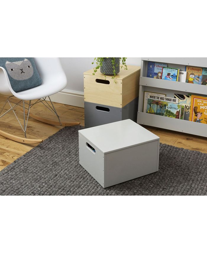 Tidy Books The Toy Storage Box for Small Toys - Macy's