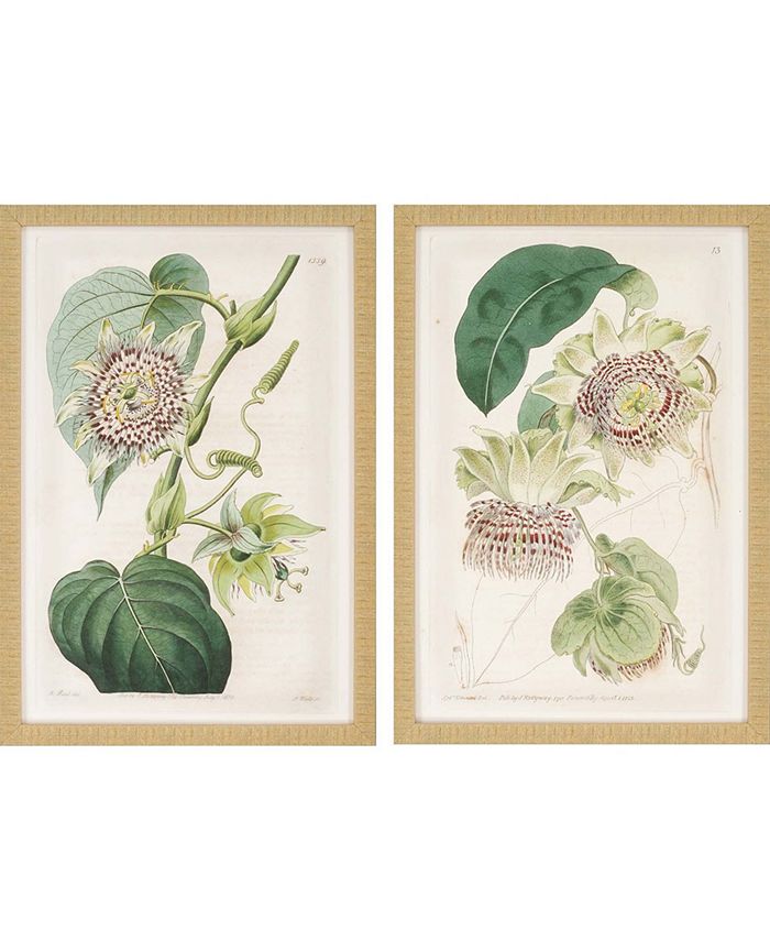 Paragon Picture Gallery Paragon Antique Flowers Framed Wall Art Set of ...