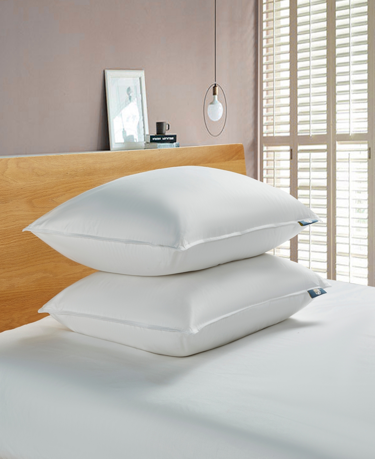 Click here for Serta White Goose Feather & Down Fiber Back Sleepe... prices